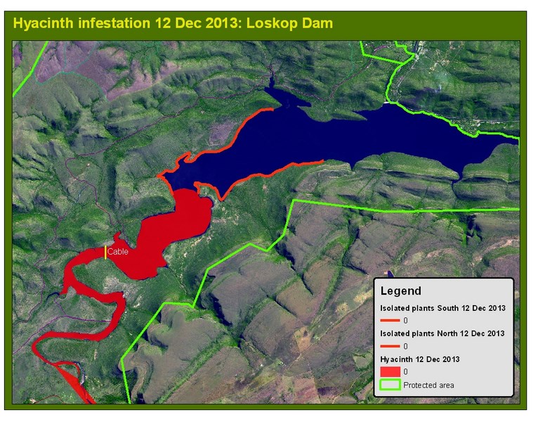 Save the Olifants River | Witbank News